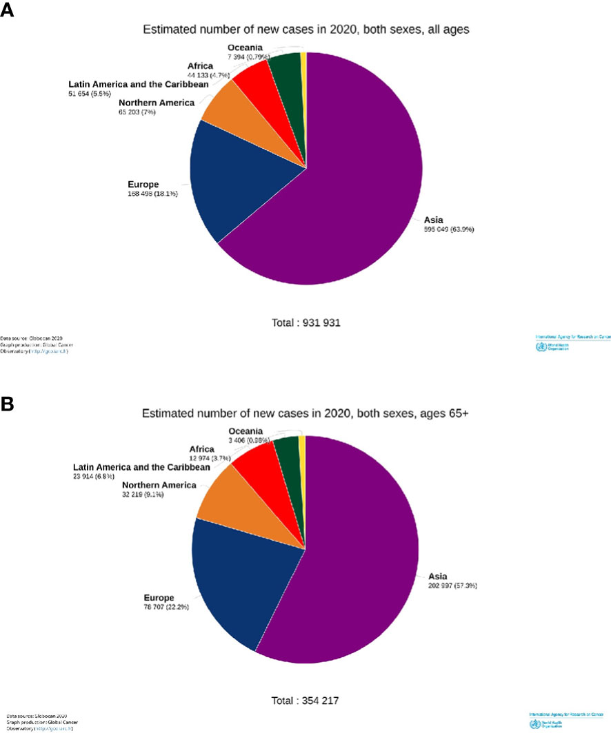 Frontiers | Descriptive epidemiology of the head and neck cancers in ...