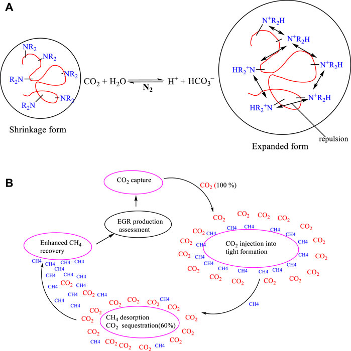 Frontiers | CO2-assisted technologies for the development of tight gas ...