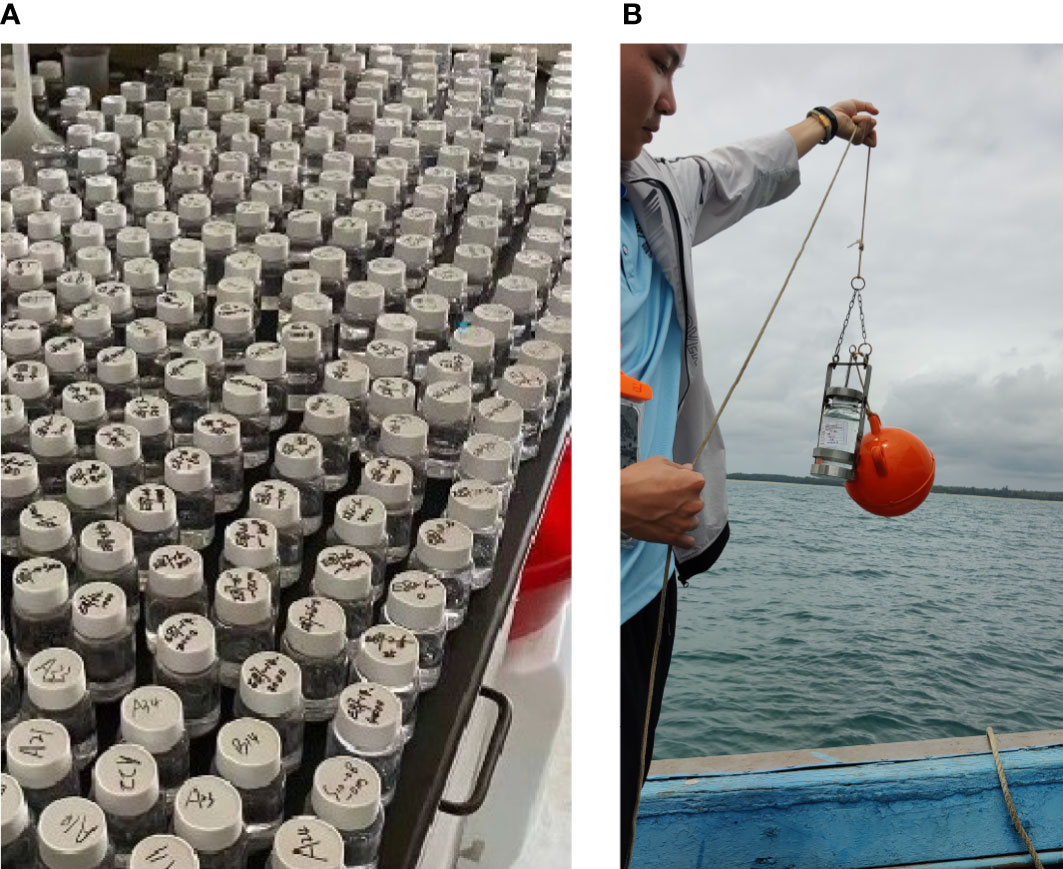 Frontiers | Vision meets algae: A novel way for microalgae ...