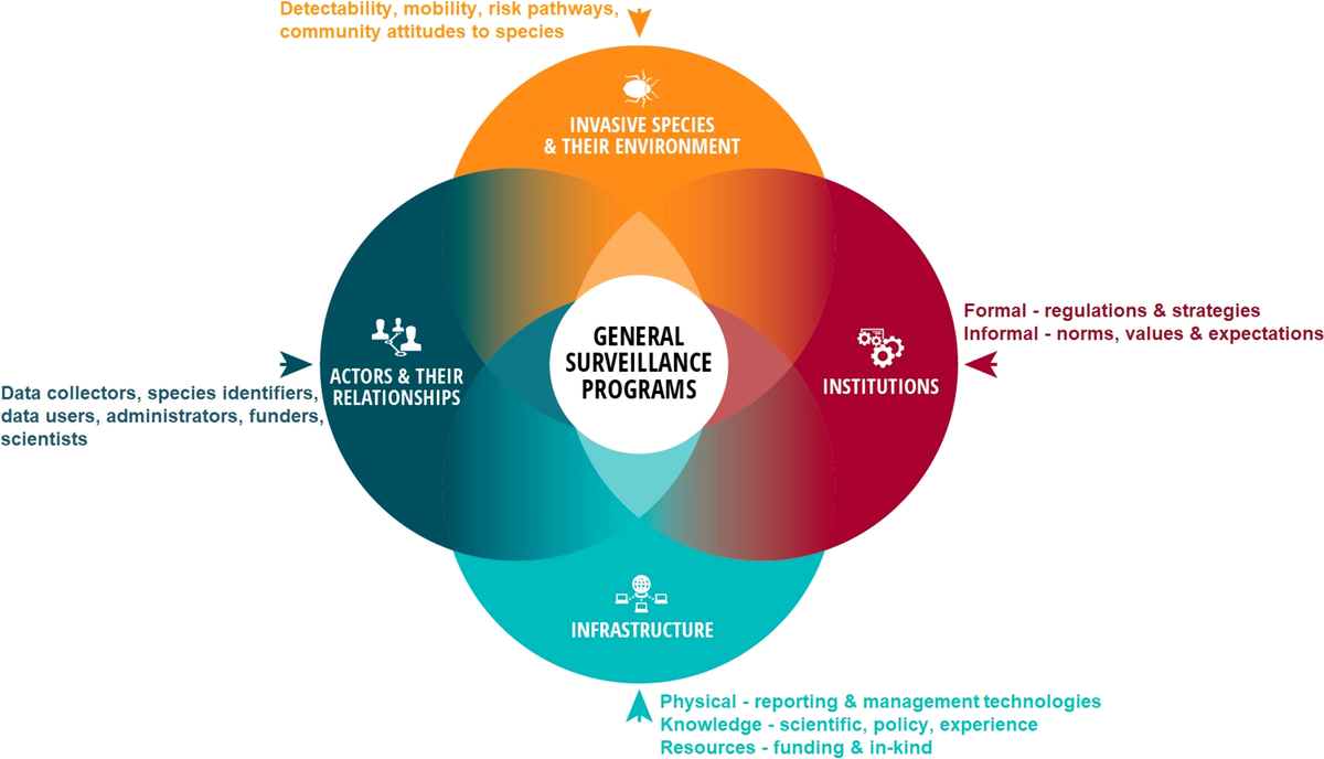Frontiers | Systems thinking for general surveillance programs – using ...