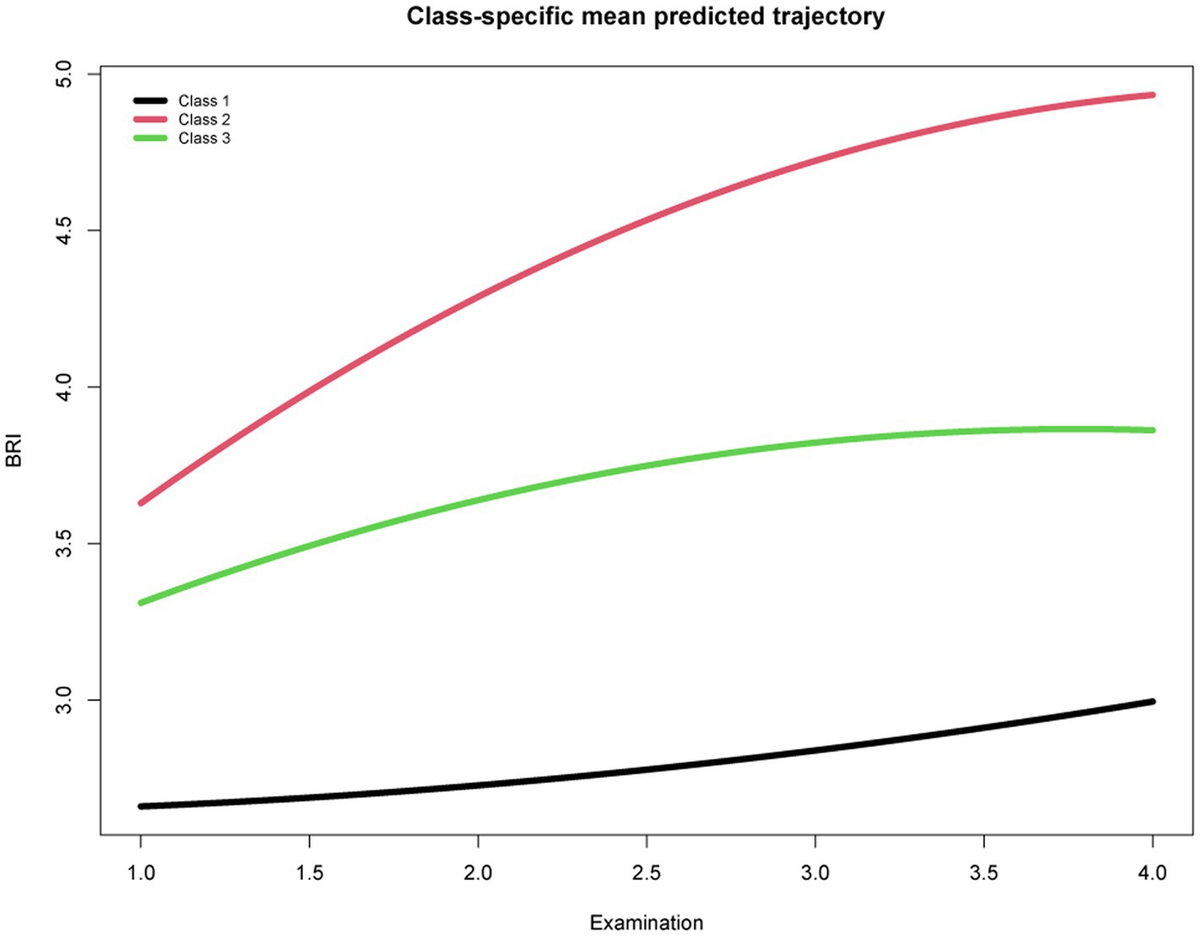 Frontiers | Association of body roundness index and its trajectories ...