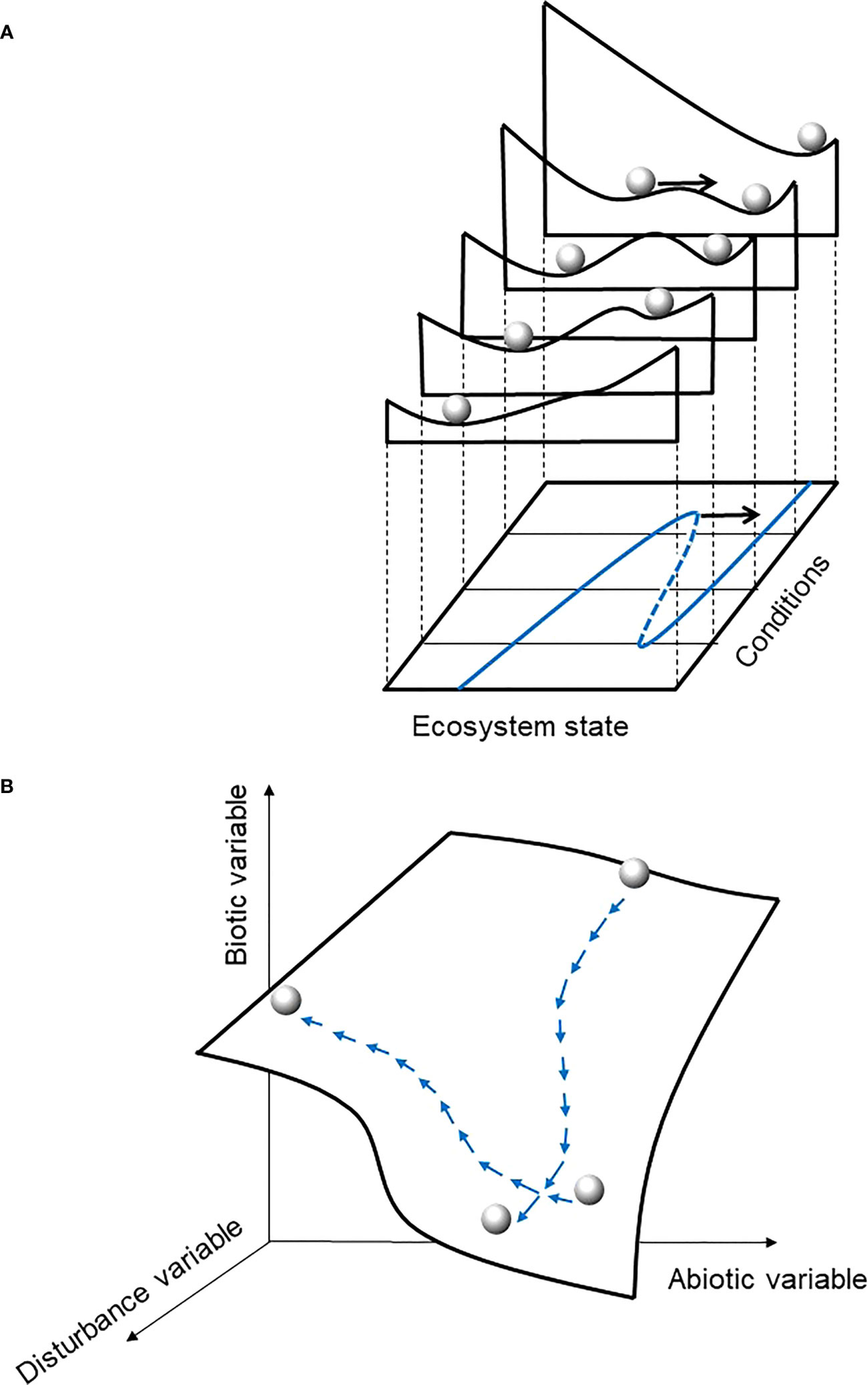 Frontiers | The Drape: a new way to characterize ecosystem states ...