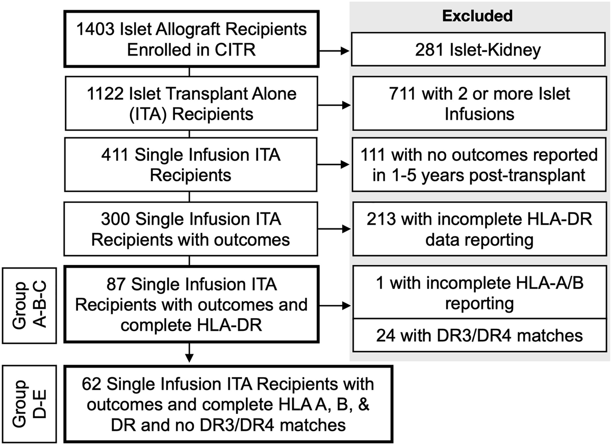 Frontiers | Matching for HLA-DR excluding diabetogenic HLA-DR3 and HLA ...