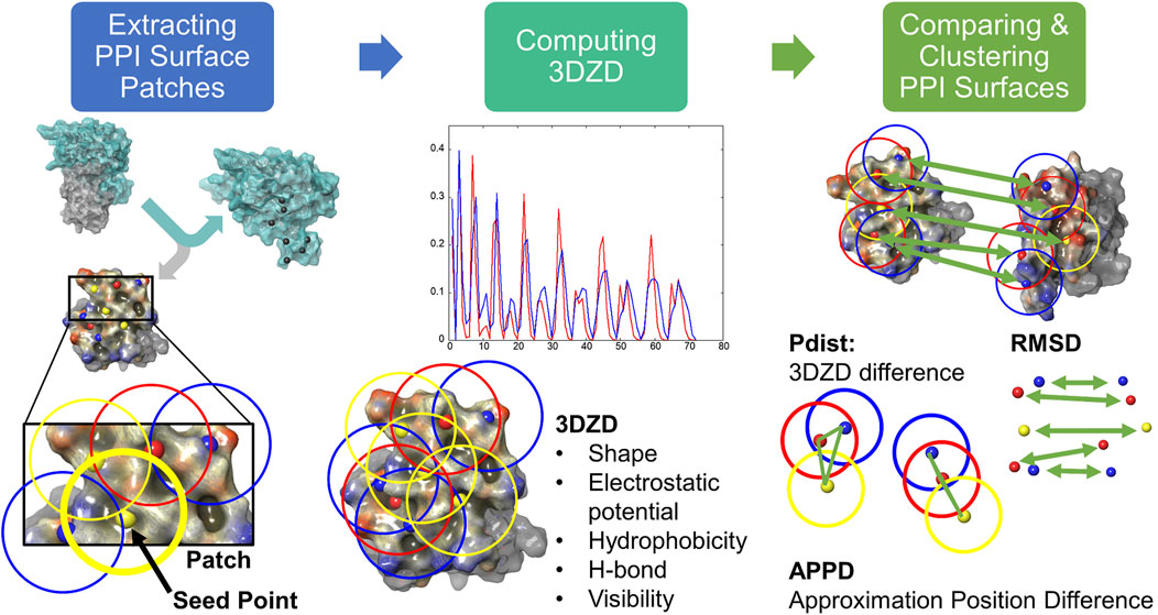 Frontiers | Quantitative comparison of protein-protein interaction ...