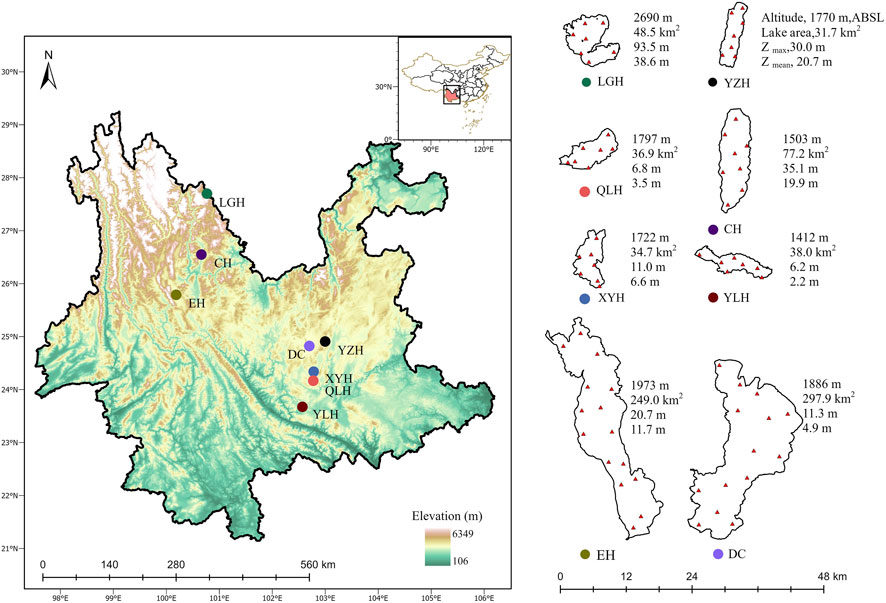 Frontiers | Interactive effects of nutrients and salinity on ...