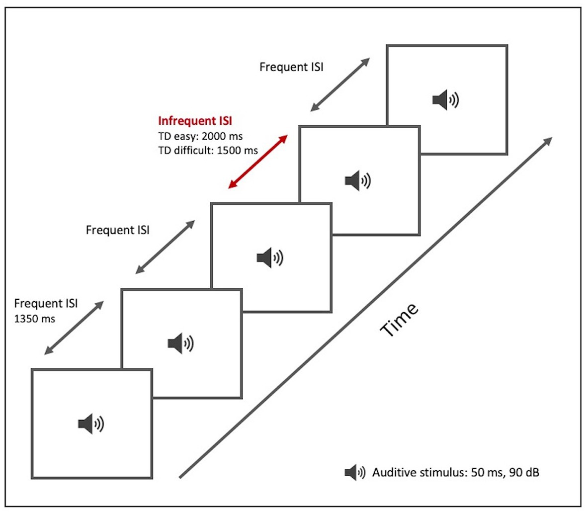 Frontiers | Time discrimination and change detection could share a ...