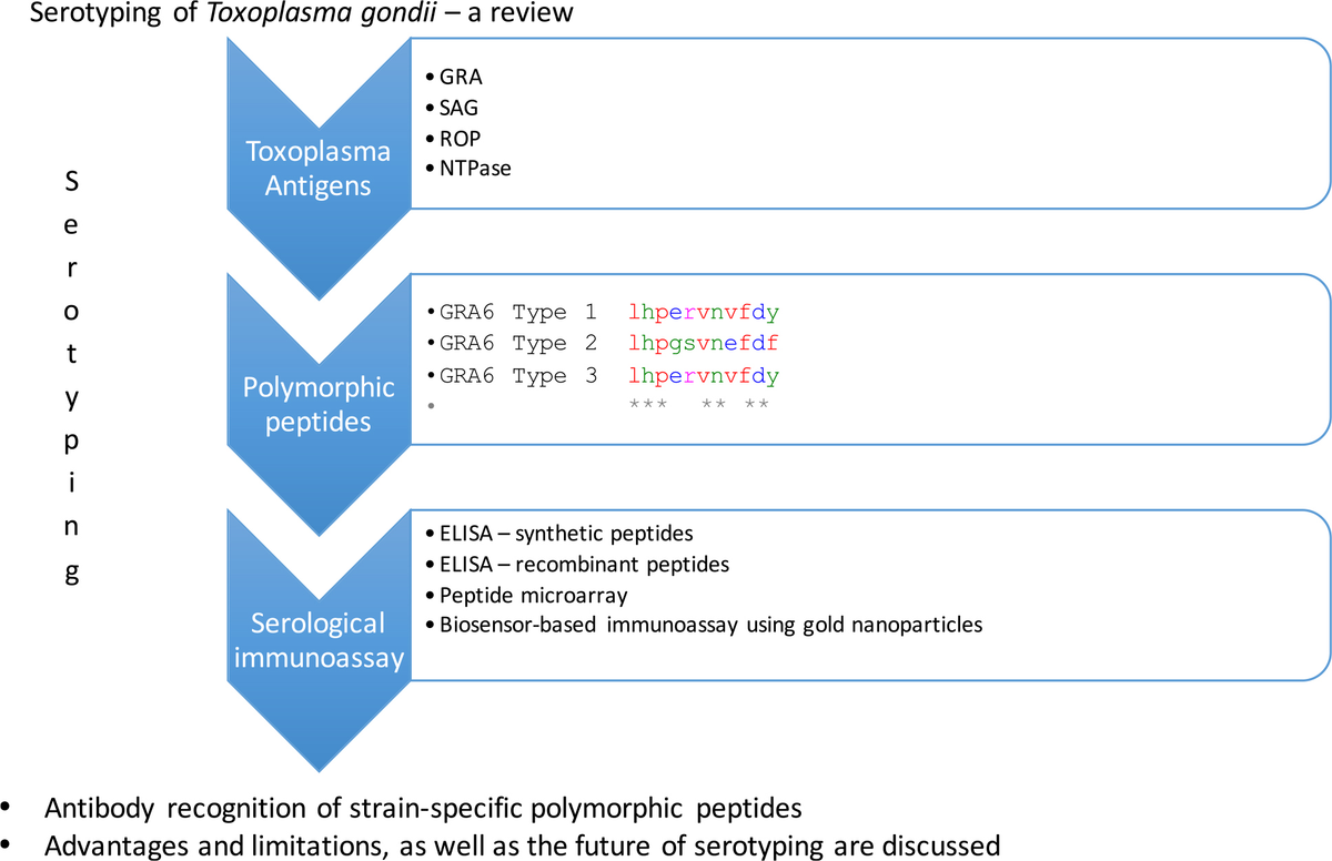 Frontiers | Serotyping, a challenging approach for Toxoplasma gondii typing