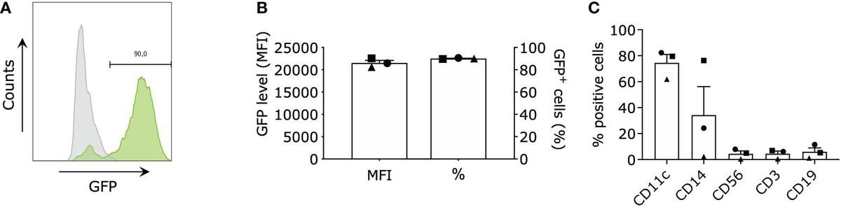 Frontiers | An mRNA mix redirects dendritic cells towards an antiviral ...