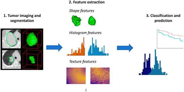 Frontiers | Bayesian feature selection for radiomics using reliability metrics