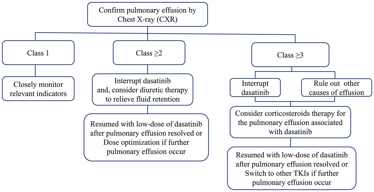 Frontiers | Adverse reactions after treatment with dasatinib in chronic ...