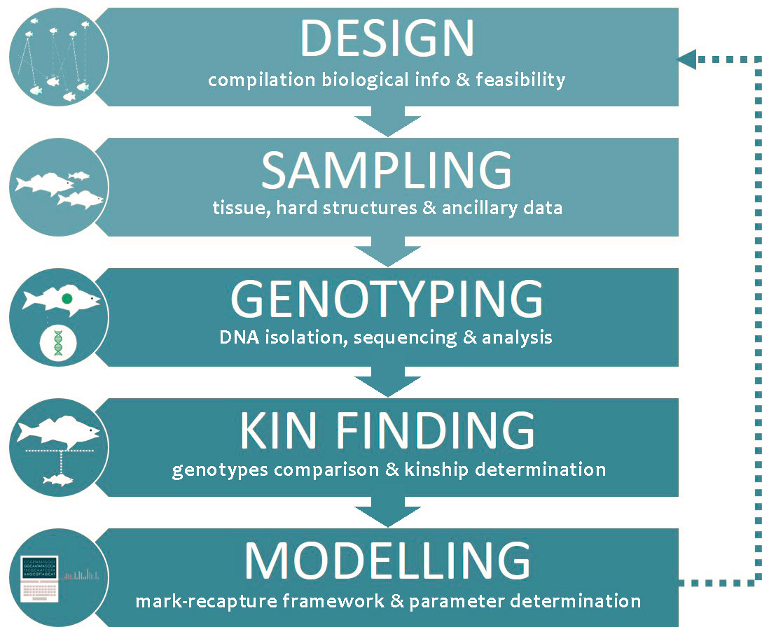 Frontiers | A review of genomics methods and bioinformatics tools for ...