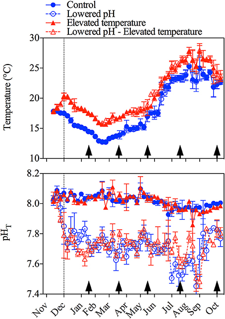 Frontiers | Impact of ocean acidification and warming on the ...