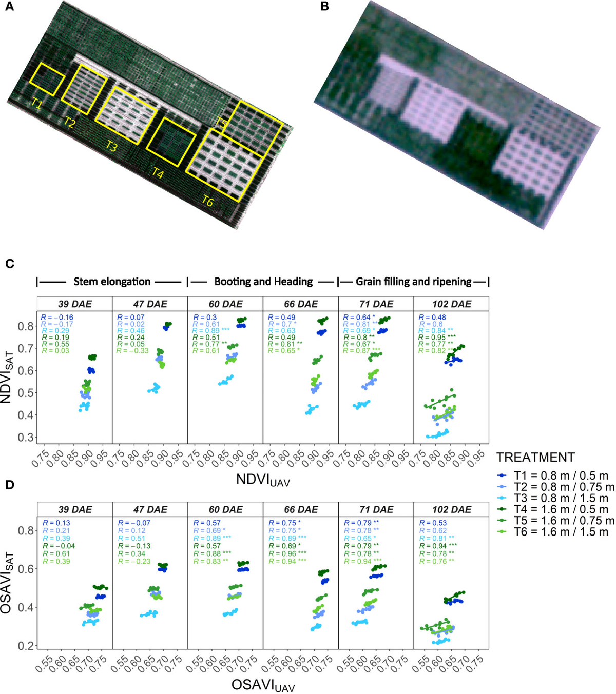 Frontiers | Satellite imagery for high-throughput phenotyping in ...