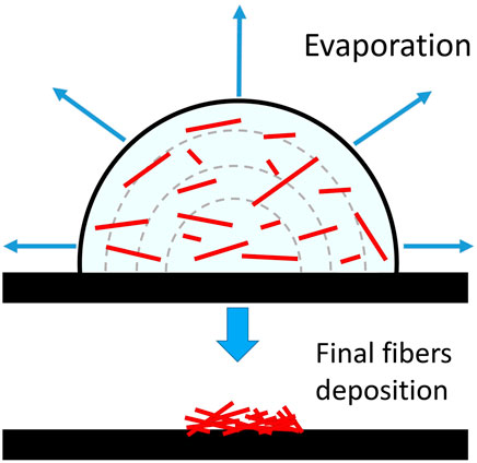 Frontiers | A new approach to deposit homogeneous samples of asbestos ...