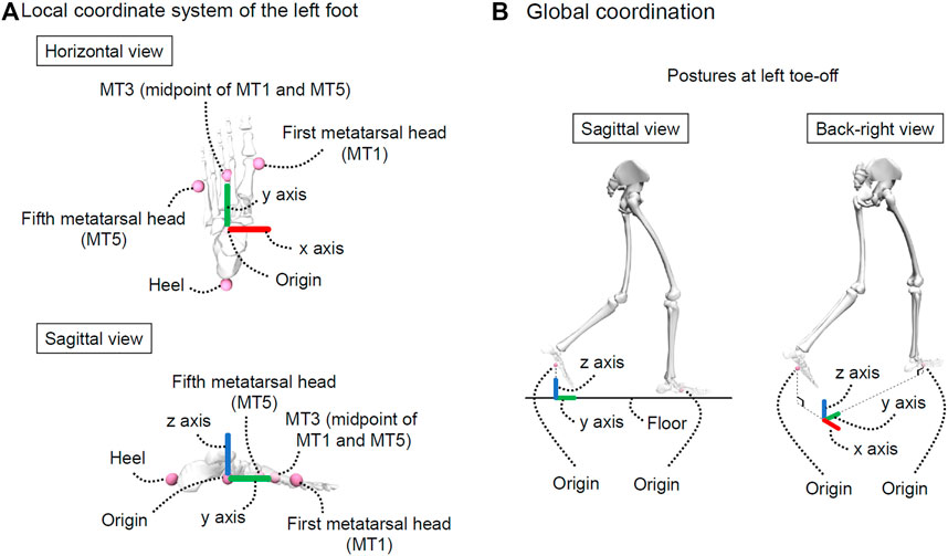Frontiers | Identification of characteristics of foot position and ...