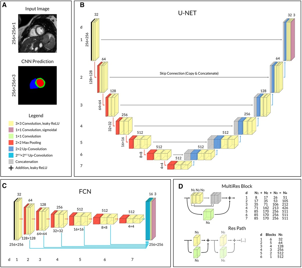 Frontiers Multilevel Comparison Of Deep Learning Models For Function Quantification In
