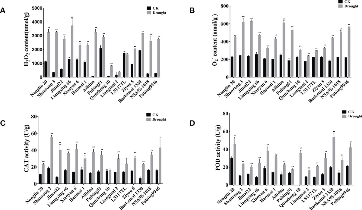 Frontiers | Comparative transcriptomic analysis and functional characterization reveals that the ...