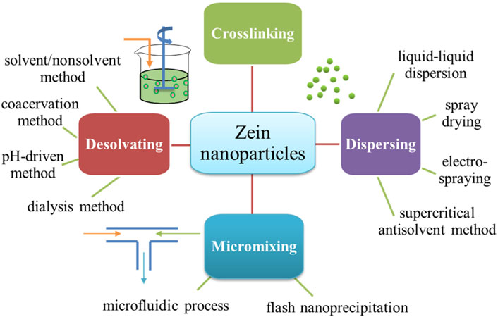 Frontiers | Zein-based nanoparticles: Preparation, characterization ...