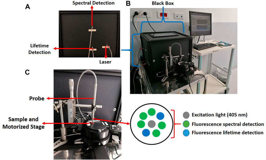 Frontiers | Characterization of a bimodal multi-fibre optic clinical ...