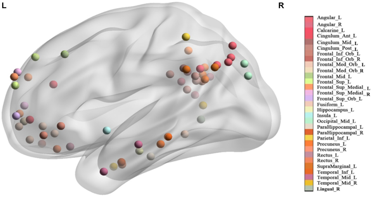 Frontiers | The effect of seed location on functional connectivity ...