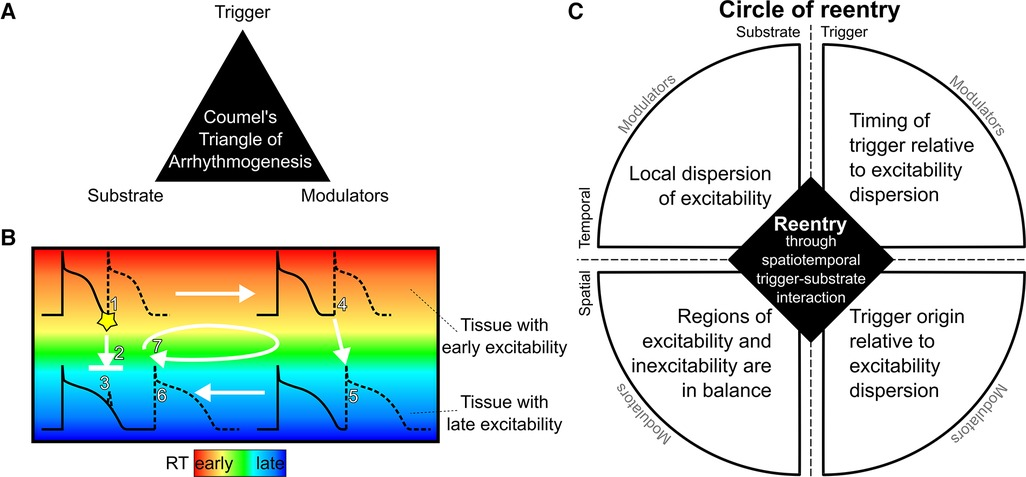 Frontiers | The circle of reentry: Characteristics of trigger-substrate ...