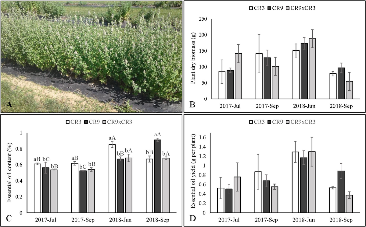 Frontiers | Successive harvests affect the aromatic and polyphenol ...