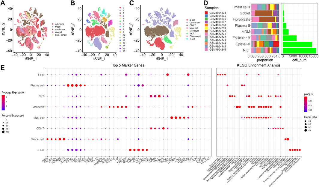 Frontiers | Comprehensive genomics analysis of aging related gene ...
