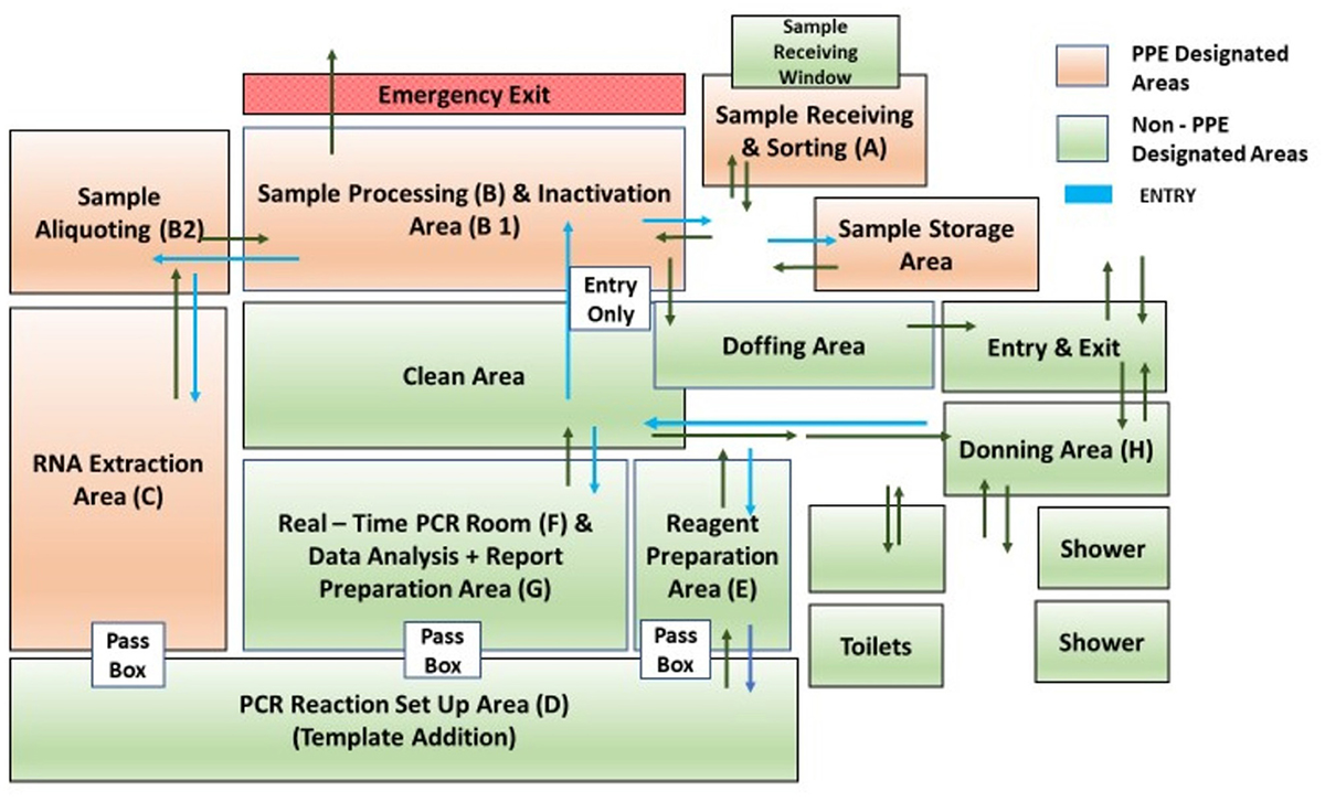 Frontiers | Insights from establishing a high throughput viral diagnostic laboratory for SARS ...