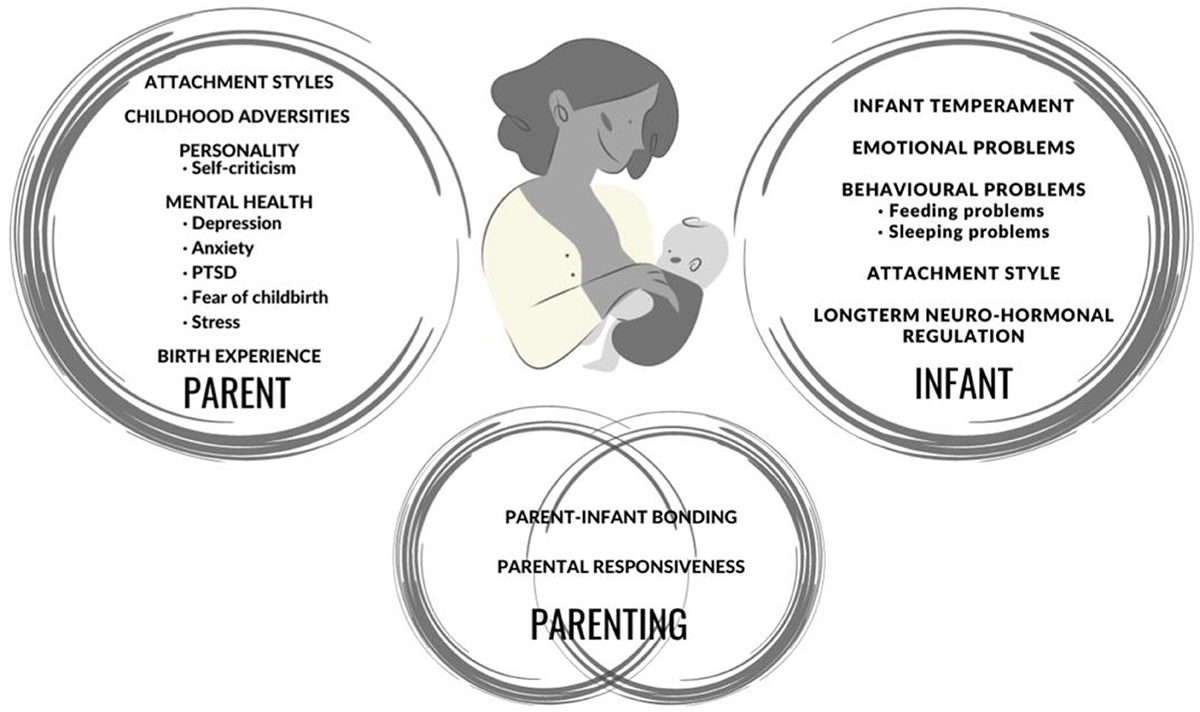 Frontiers | Editorial: From childbearing to childrearing: Parental ...