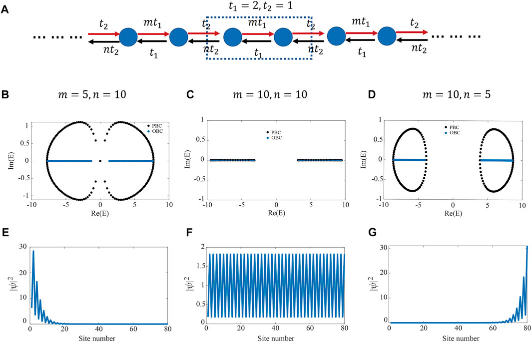 Frontiers | Tunable non‐Hermitian skin effects in Su‐Schrieffer‐Heeger ...