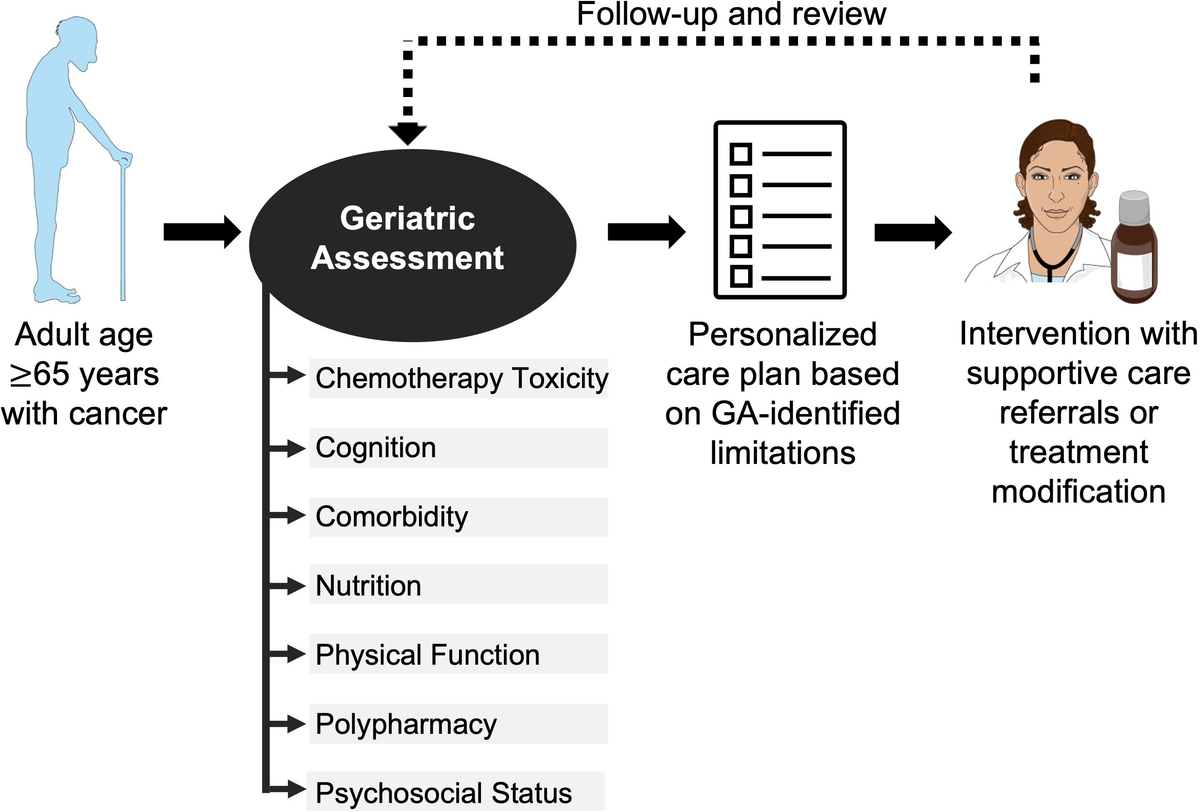Frontiers | Geriatric assessment in the older adult with genitourinary ...