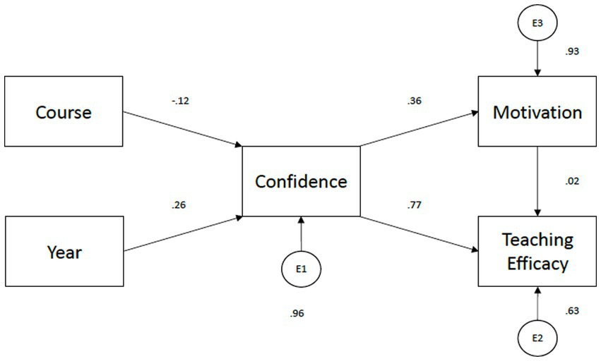 Frontiers | Teaching efficacy of undergraduate physical education ...