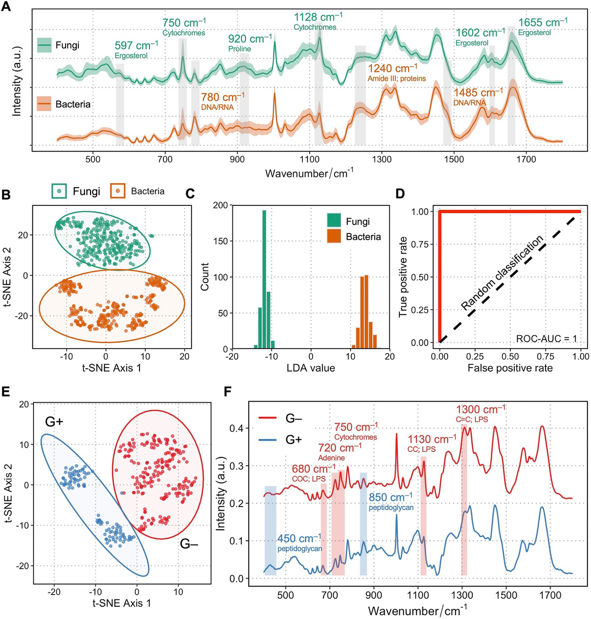 Frontiers | Artificial intelligence-aided rapid and accurate ...