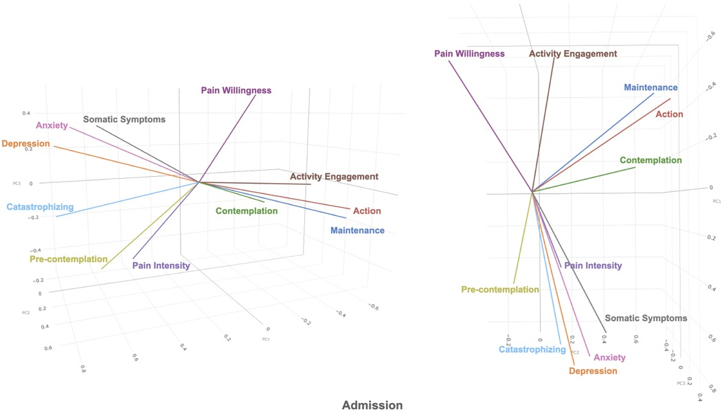 Frontiers | Multidimensional visualization and analysis of chronic pain ...