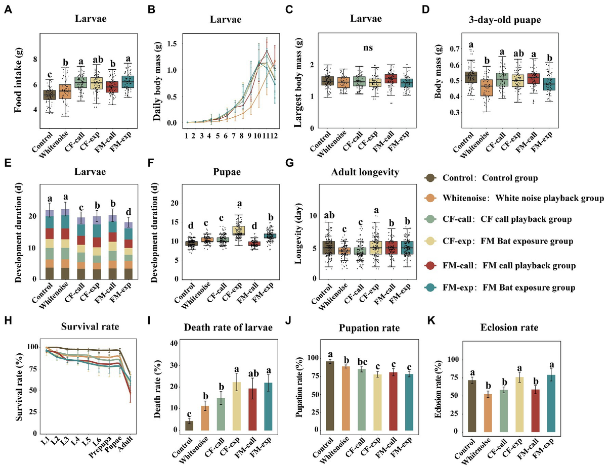 Frontiers | Effects of predation risks of bats on the growth ...