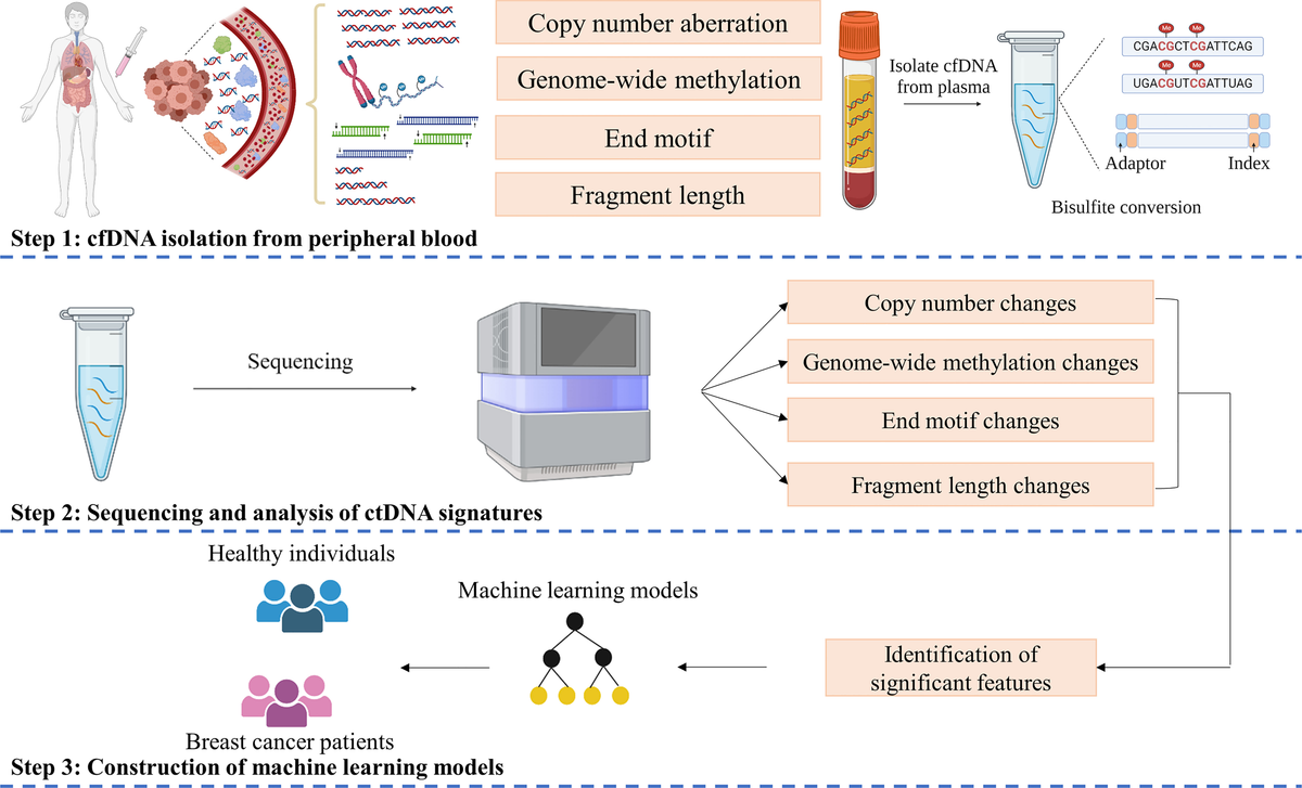 Frontiers | Multimodal analysis of genome-wide methylation, copy number aberrations, and end ...