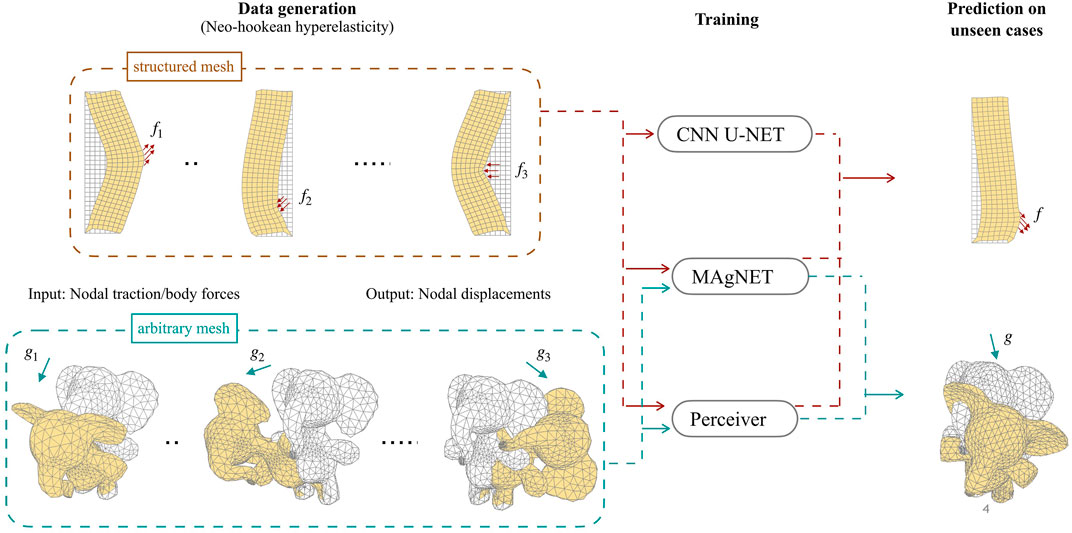 Frontiers | Convolution, aggregation and attention based deep neural ...