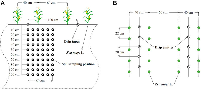 Frontiers | Soil moisture and salinity dynamics of drip irrigation in ...
