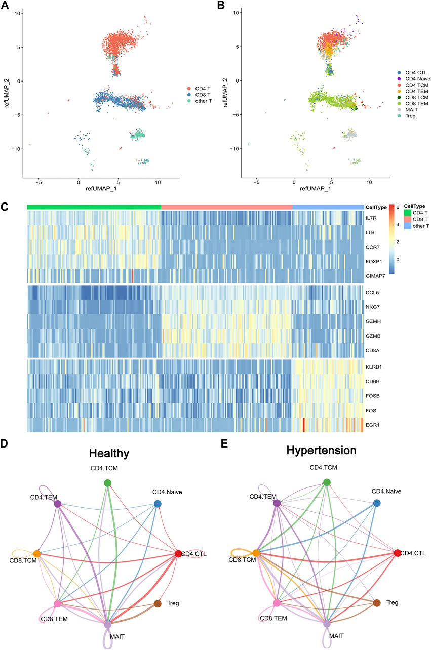 Frontiers Single Cell Transcriptome Profiling Reveals Enriched Memory