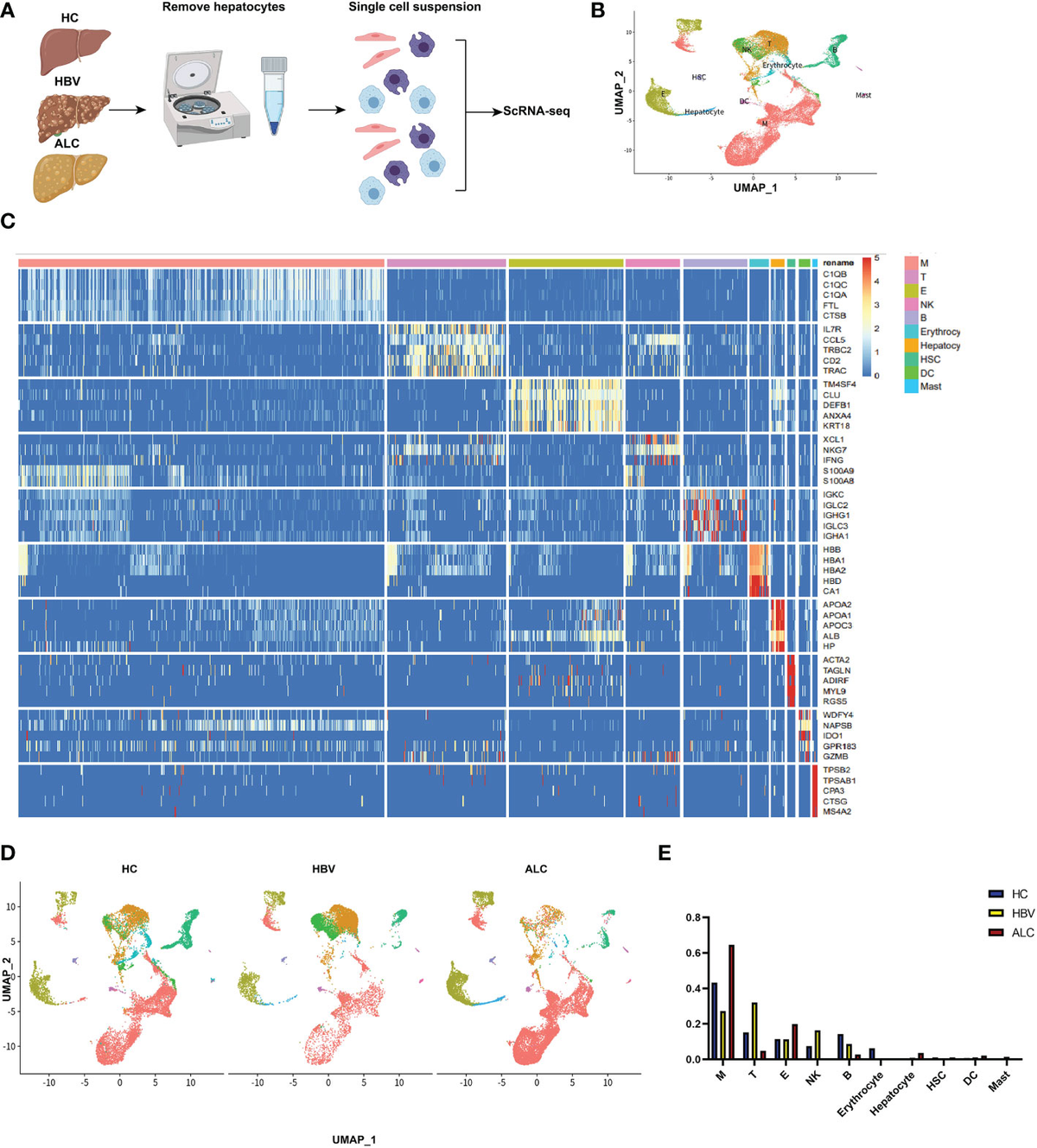 Frontiers | Single-cell RNA transcriptomics reveals differences in the ...