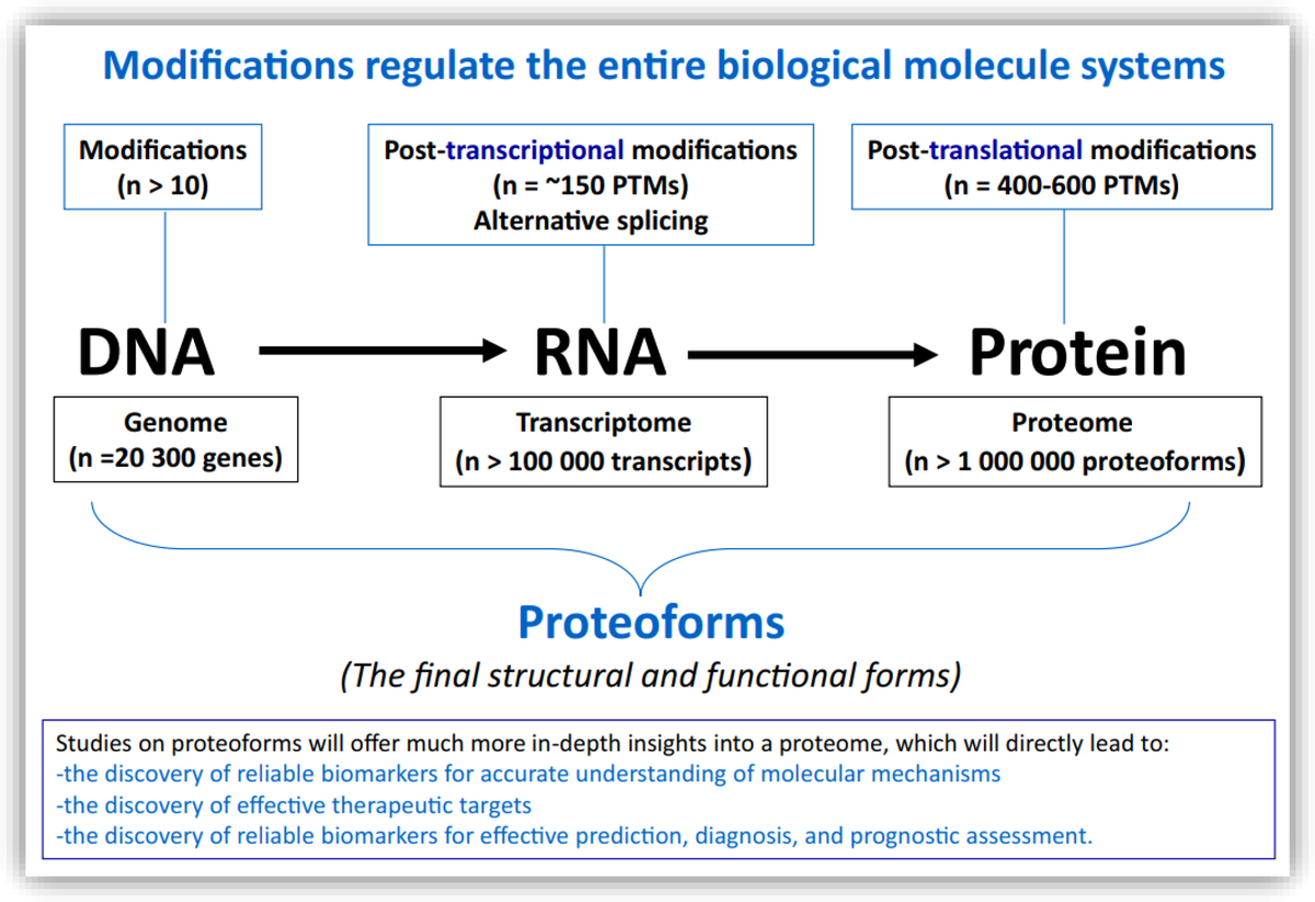 Frontiers | Editorial: Biomolecular modifications in endocrine-related ...