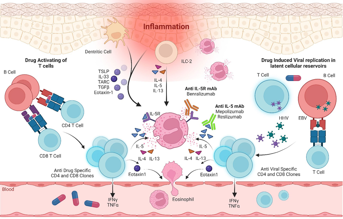 Frontiers | Novel targeted inhibition of the IL-5 axis for drug ...