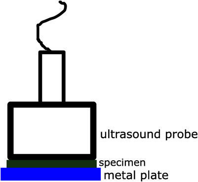 Frontiers | Ultrasound flow phantom for transcranial Doppler: An ...