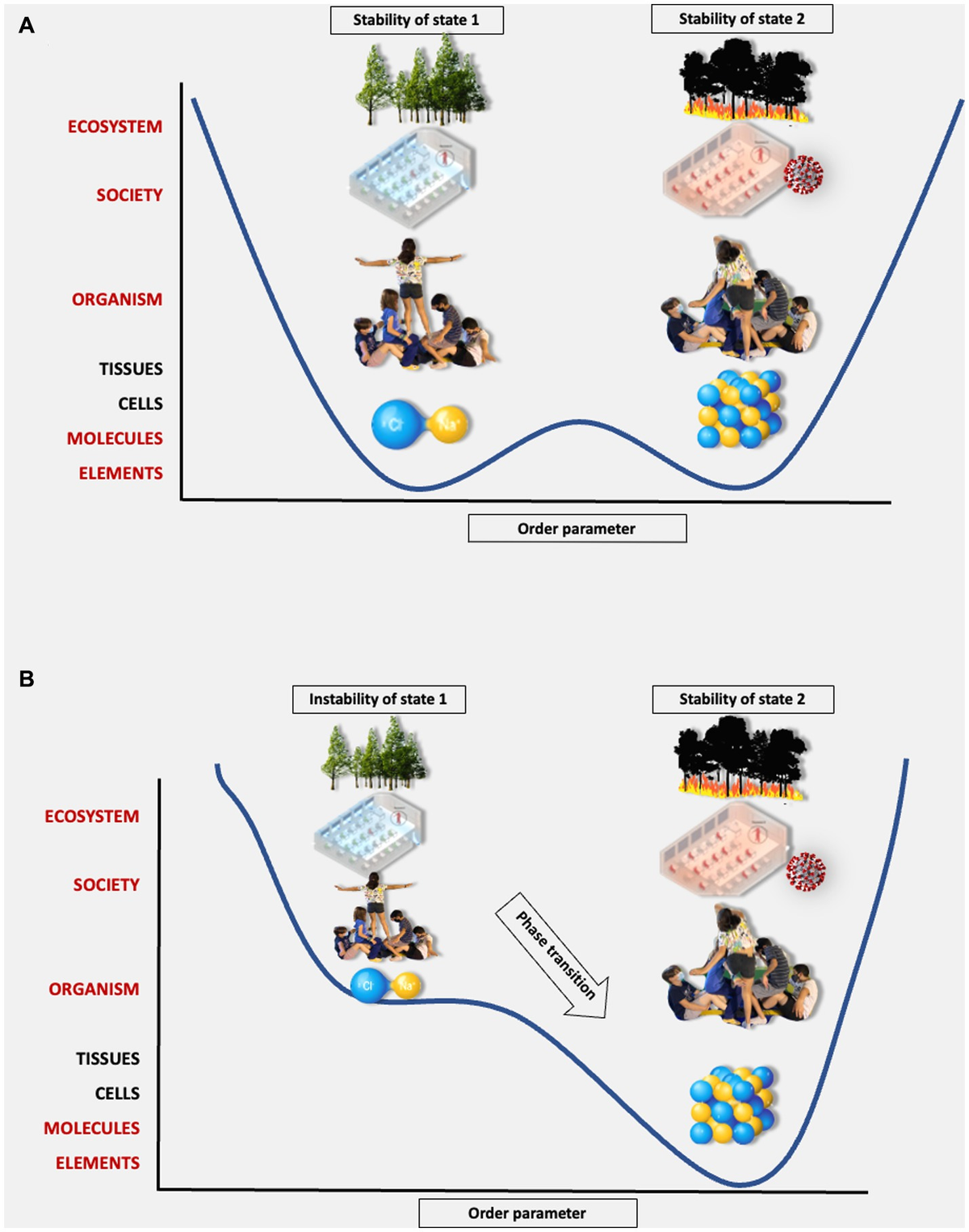 Frontiers | Transdisciplinary embodied education in elementary school ...