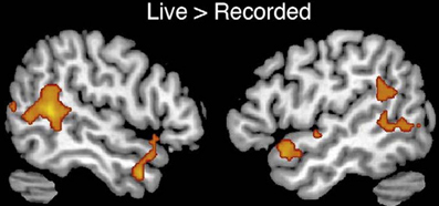 Frontiers | Hippocampal temporal-parietal junction interaction in the ...
