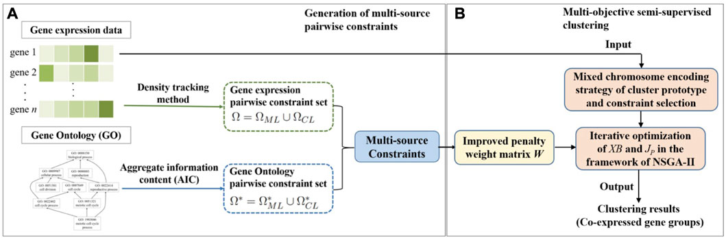 Frontiers | MSC-CSMC: A multi-objective semi-supervised clustering algorithm based on ...