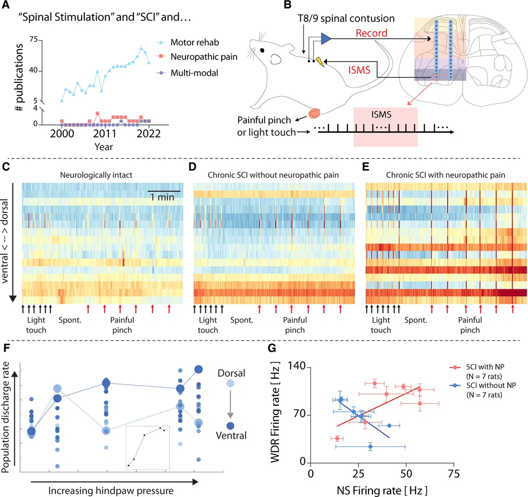 Frontiers | Precision neuromodulation: Promises and challenges of ...