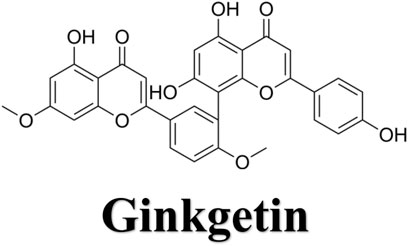 Frontiers | Integrating network pharmacology prediction and ...
