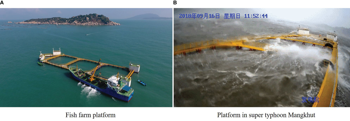Frontiers | Hydrodynamic response analysis for a new semi-submersible ...