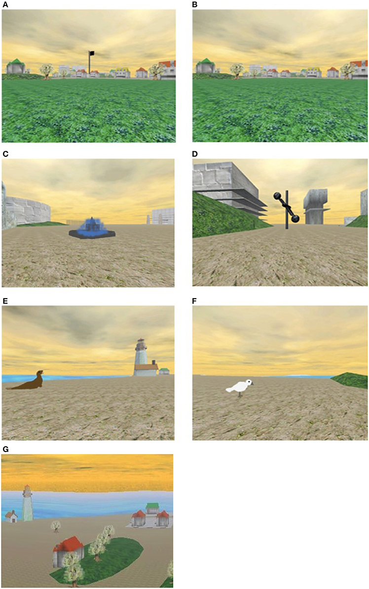 Frontiers | Spatial navigation, episodic memory, episodic future ...